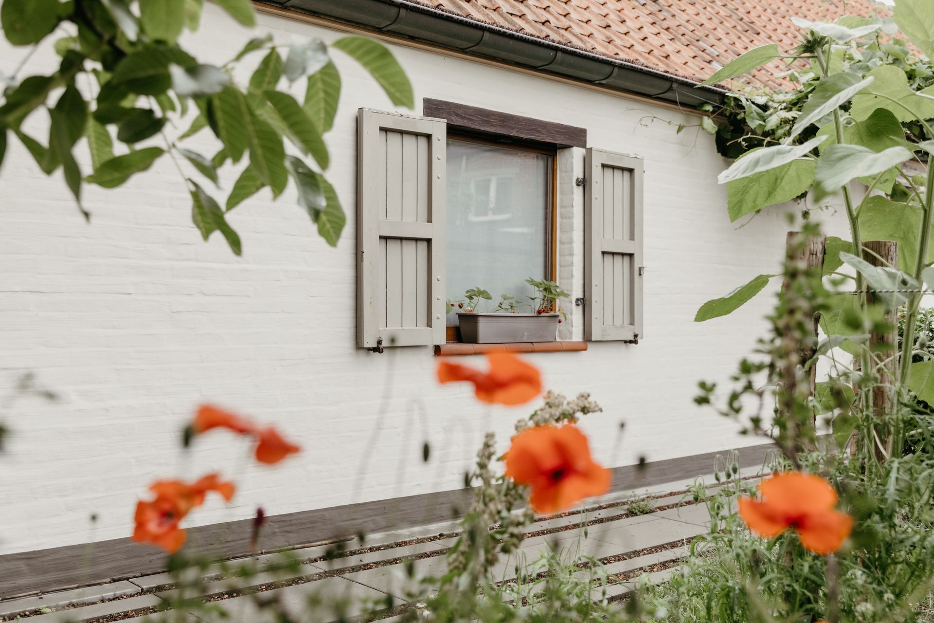 Tintelijn blog: een oude muur kaleien met kalk kalei